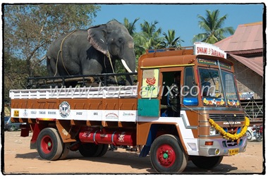 Keralapix.com: Your Ultimate Destination for Stunning Kerala Images and ...